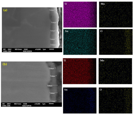 Corrosion of Titanium Alloys Anodized Using Electrochemical Techniques