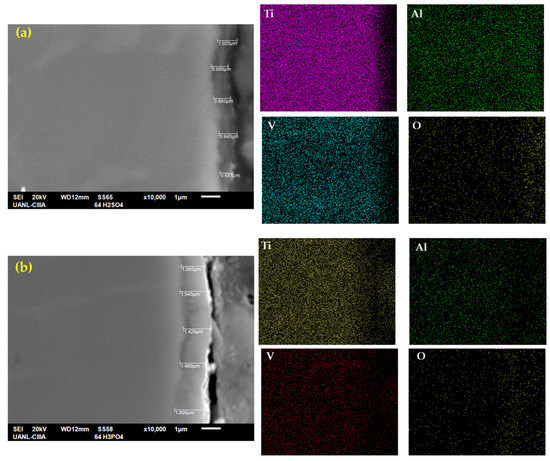 Corrosion of Titanium Alloys Anodized Using Electrochemical Techniques