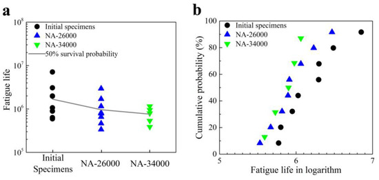 Effects of Natural Aging and Discontinuous Cyclic Loading on High Cycle ...