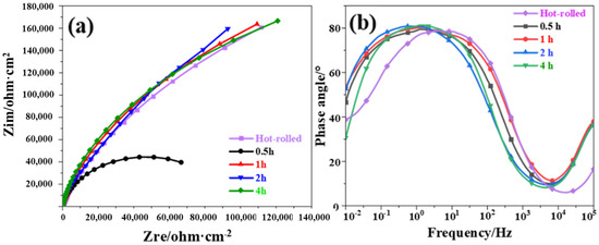 Microstructure Evolution, Mechanical Properties, and Corrosion ...