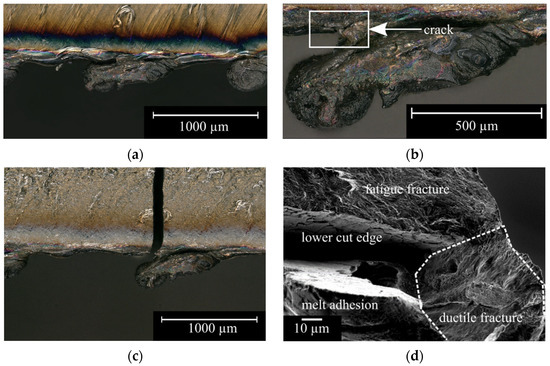 Influence of the Dross Formation of the Laser-Cut Edge on the Fatigue ...