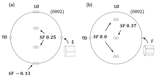 On the Plasticity and Deformation Mechanisms in Magnesium Crystals
