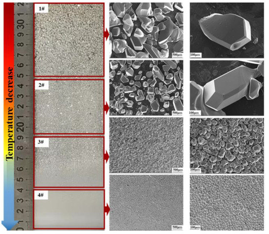 Magnesium Alloy Scrap Vacuum Gasification—Directional Condensation to ...