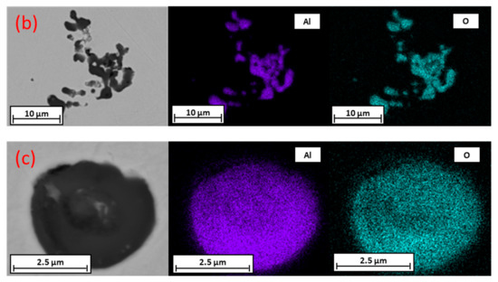 Metals | Free Full-Text | In-Situ Observation of Steel/Slag/Inclusion ...