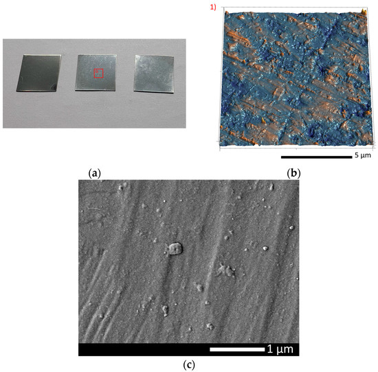 Metals | Free Full-Text | Study of the Radiation Damage Kinetics in ...