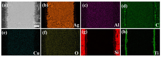 Microstructure and Shear Strength of SiC Joint Brazed with LiAlSiO4 ...