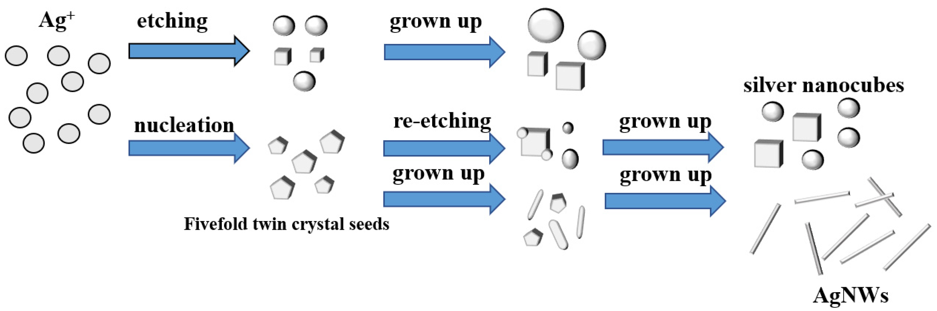 A Method for Preparing AgNWs with Accelerated Seed–Wire Conversion Time