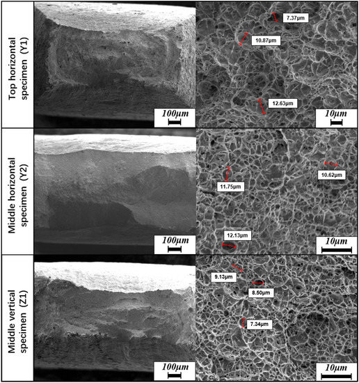 Microstructure and Mechanical Properties of High-Strength, Low-Alloy ...