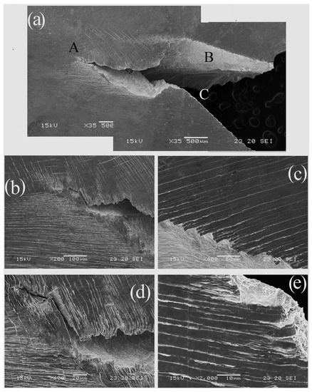 Fatigue Crack Growth in a Monocrystal and Its Similarity to Short-Crack ...