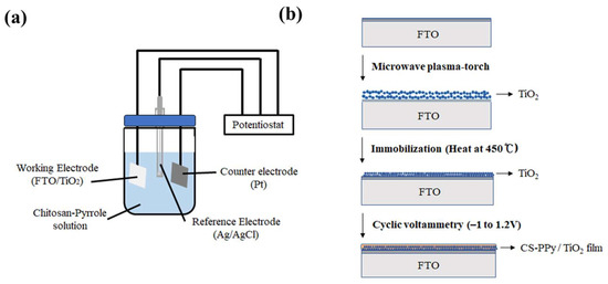 Nano-Biosensors Based on Noble Metal and Semiconductor Nano-Biosensors Based on Noble Metal and Semiconductor