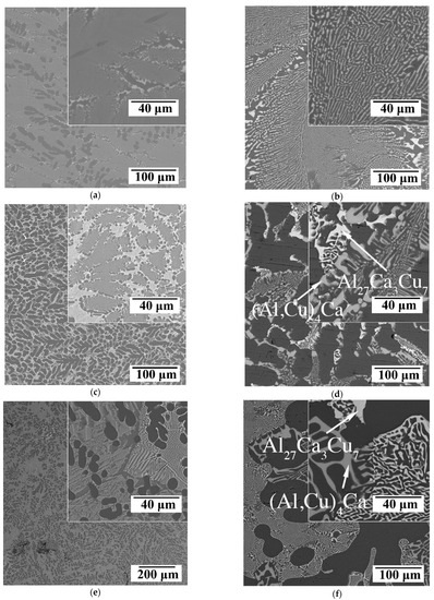 Description of the New Eutectic Al-Ca-Cu System in the Aluminum Corner