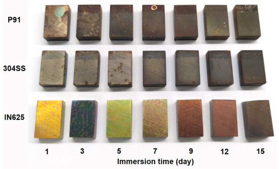 Study of Corrosion Performance and Mechanisms of P91, 304SS and IN625 ...