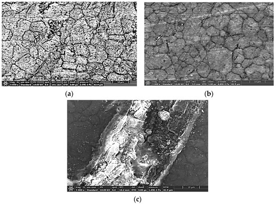 Influence of Laser Treatment Medium on the Surface Topography ...