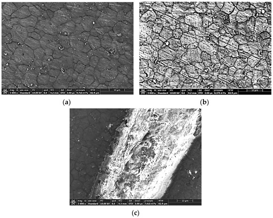 Influence of Laser Treatment Medium on the Surface Topography ...