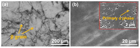 Regulation of Microstructure to Optimize Mechanical Properties of Ti ...