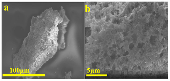 Purification of Organosilicon Waste Silicon Powder with Hydrometallurgy