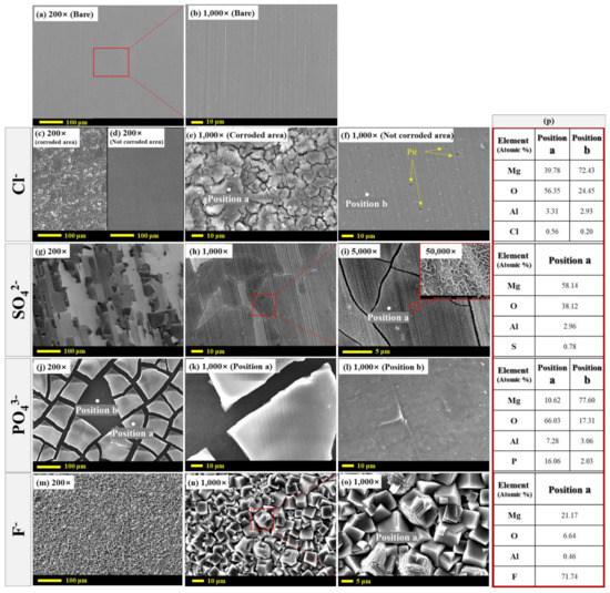 Corrosion Behavior of the AZ31 Mg Alloy in Neutral Aqueous Solutions ...