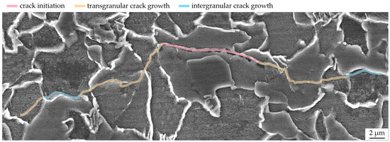 Influence of the C Content on the Fatigue Crack Initiation and Short ...