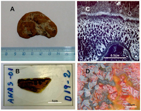 Cobalt and Manganese Extraction from Ocean Nodules by Co-Processing ...
