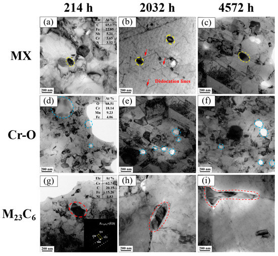 Metals | Free Full-Text | Creep Deformation Behavior, Microstructure Evolution, and Damage ...