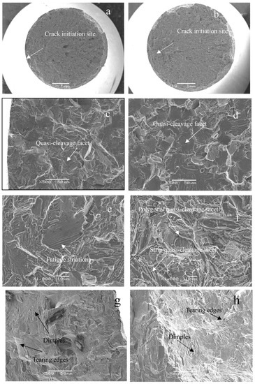 Micro-Deformation and Fracture Features of Ti834 Titanium Alloy under ...