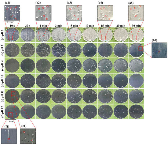 Corrosion and Formation of Surface Films on AZ31 Mg Alloy in Aqueous ...