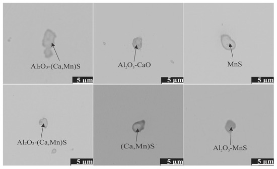 Formation and Modification of Al2O3 and MnS Inclusions in Al-Killed ...