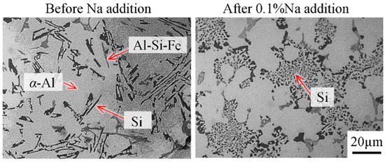 Metals Free Full Text The Influence Of Alloying Elements On The