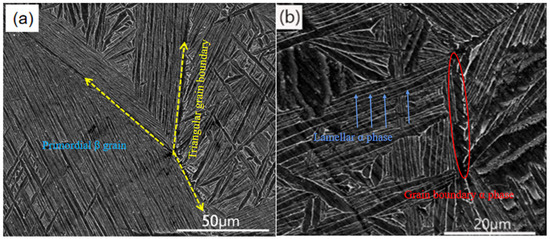 Evolution on the Microstructure and Mechanical Properties of a New ...