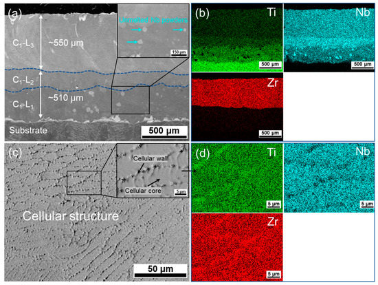 Stepwise Laser Cladding of TiNbZr and TiTaZr Medium-Entropy Alloys on ...