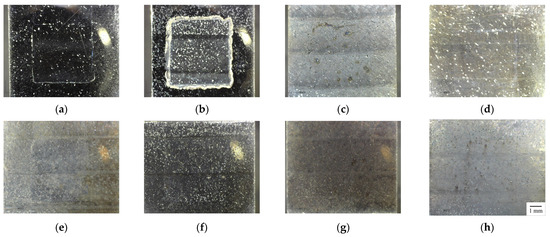 Effects of Solid-Solution Carbon and Eutectic Carbides in AISI 316L ...