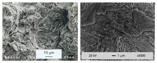 Hydrogen-Assisted Microdamage of Eutectoid Pearlitic Steel in the ...