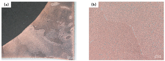 Effect of Brazing Fillet on the Microstructure and Mechanical ...