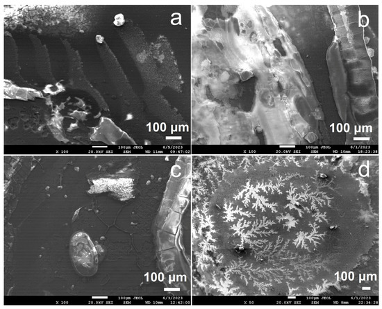 Effect of Rotary Swaging on Mechanical and Operational Properties of Zn–1%Mg and Zn–1%Mg–0.1%Ca ...