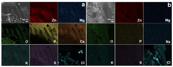 Metals | Free Full-Text | Effect of Rotary Swaging on Mechanical and Operational Properties of ...