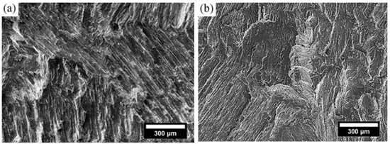 Low-Cycle Fatigue Behaviour of Titanium-Aluminium-Based Intermetallic ...