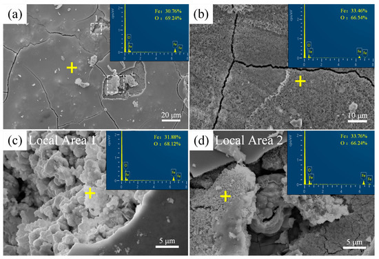 Effects of Different Fouling Organisms on Corrosion Behavior of Carbon ...
