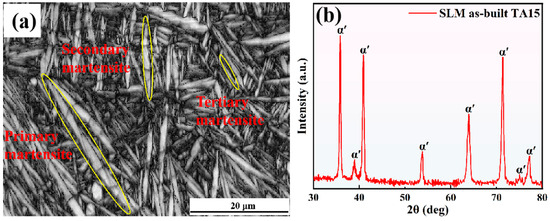 Microstructural Evolution and Mechanical Behavior of TA15 Titanium ...