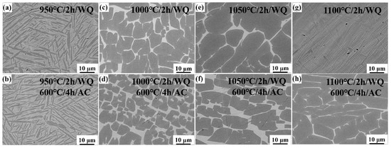 Microstructural Evolution and Mechanical Behavior of TA15 Titanium ...