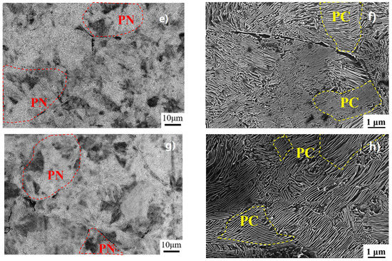 Synergistic Effect of Alloying on the Strength and Ductility of High ...