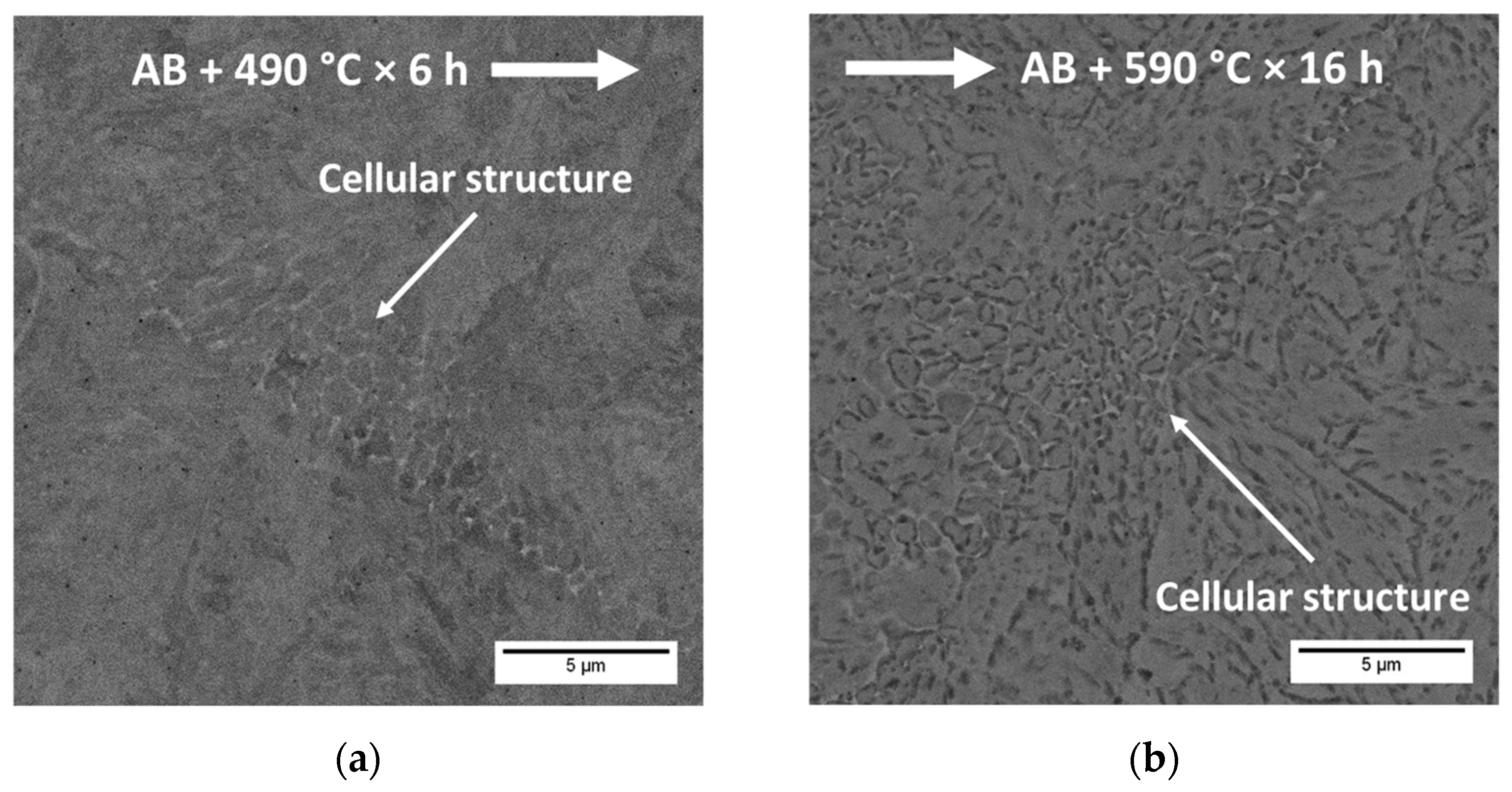 Metals | Free Full-Text | Aging Behaviour of a 12.2Cr-10Ni-1Mo-1Ti-0 ...