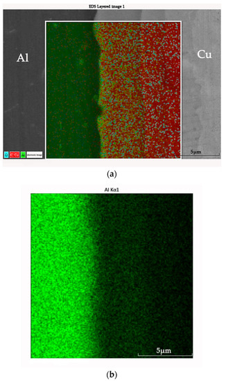 In-Situ Observation and Analysis of the Evolution of Copper Aluminum ...