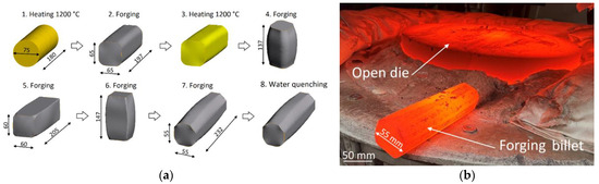 Metals | Free Full-Text | Analysis of Microstructure Evolution of Co-Cr ...