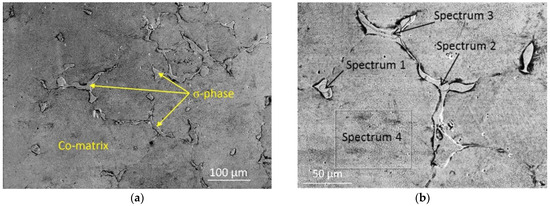 Analysis of Microstructure Evolution of Co-Cr-Mo Alloy during ...
