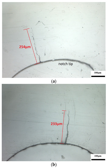 A Combined Numerical–Analytical Study for Notched Fatigue Crack ...