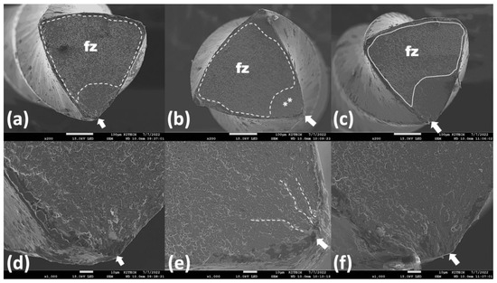 Effect of Different Heat Treatments and Surface Treatments on the ...