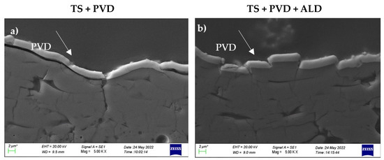 The Use of Thin Films as Defect Sealants to Increase the Corrosion ...