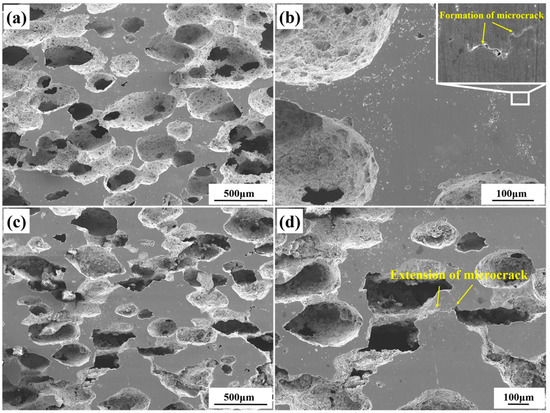 Microstructure Characteristics of Porous NiTi Shape Memory Alloy ...