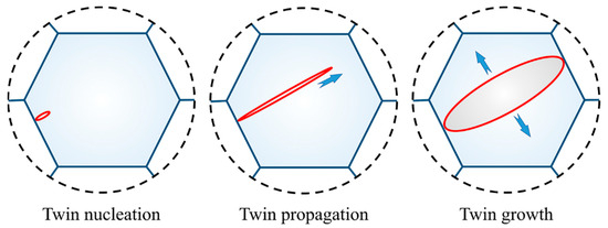 Strain Rate Dependence of Twinning Behavior in AZ31 Mg Alloys