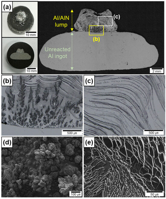 Metals | Free Full-Text | Microstructural Characterization of In Situ ...